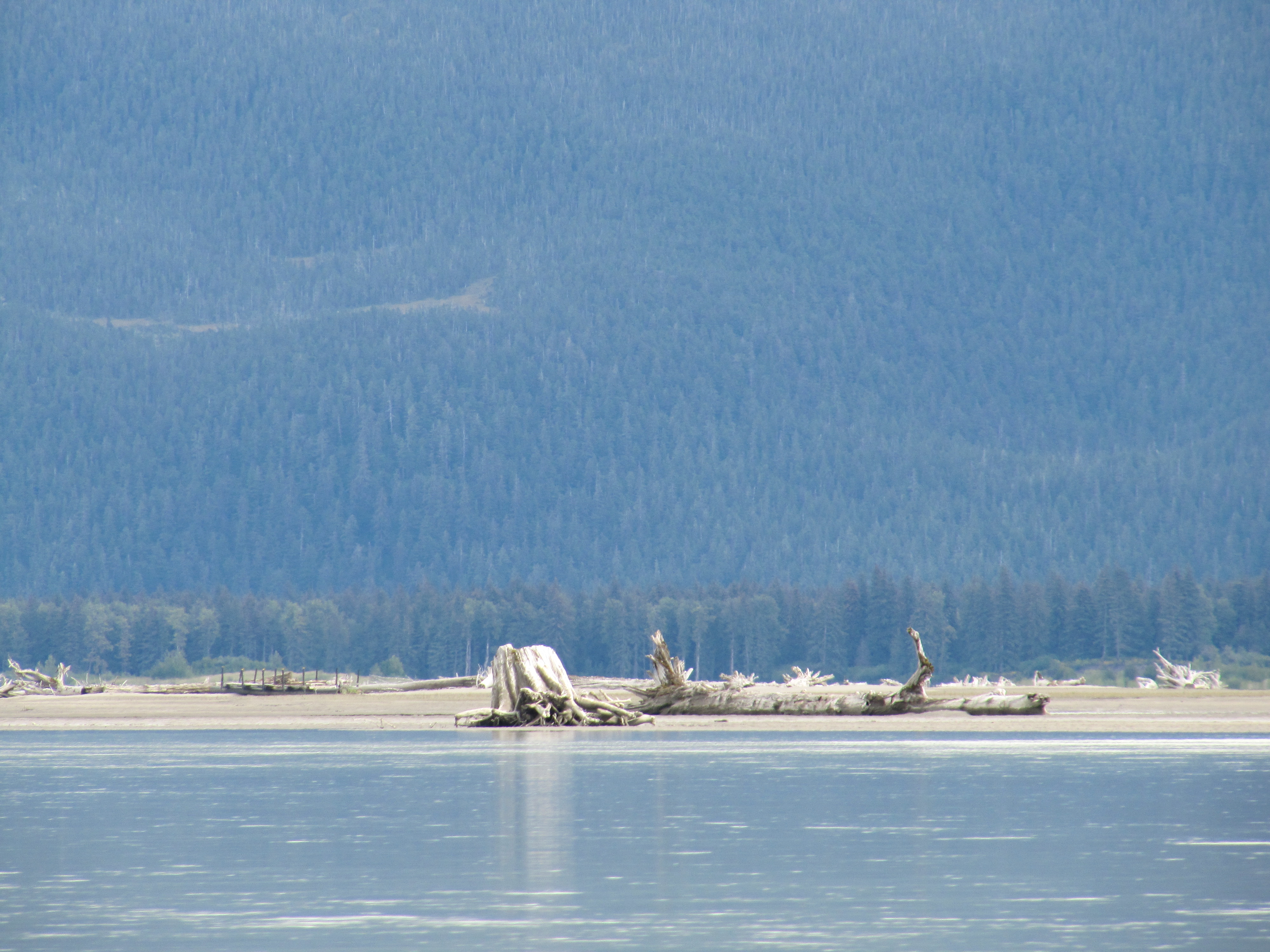 Stikine River | On the Road